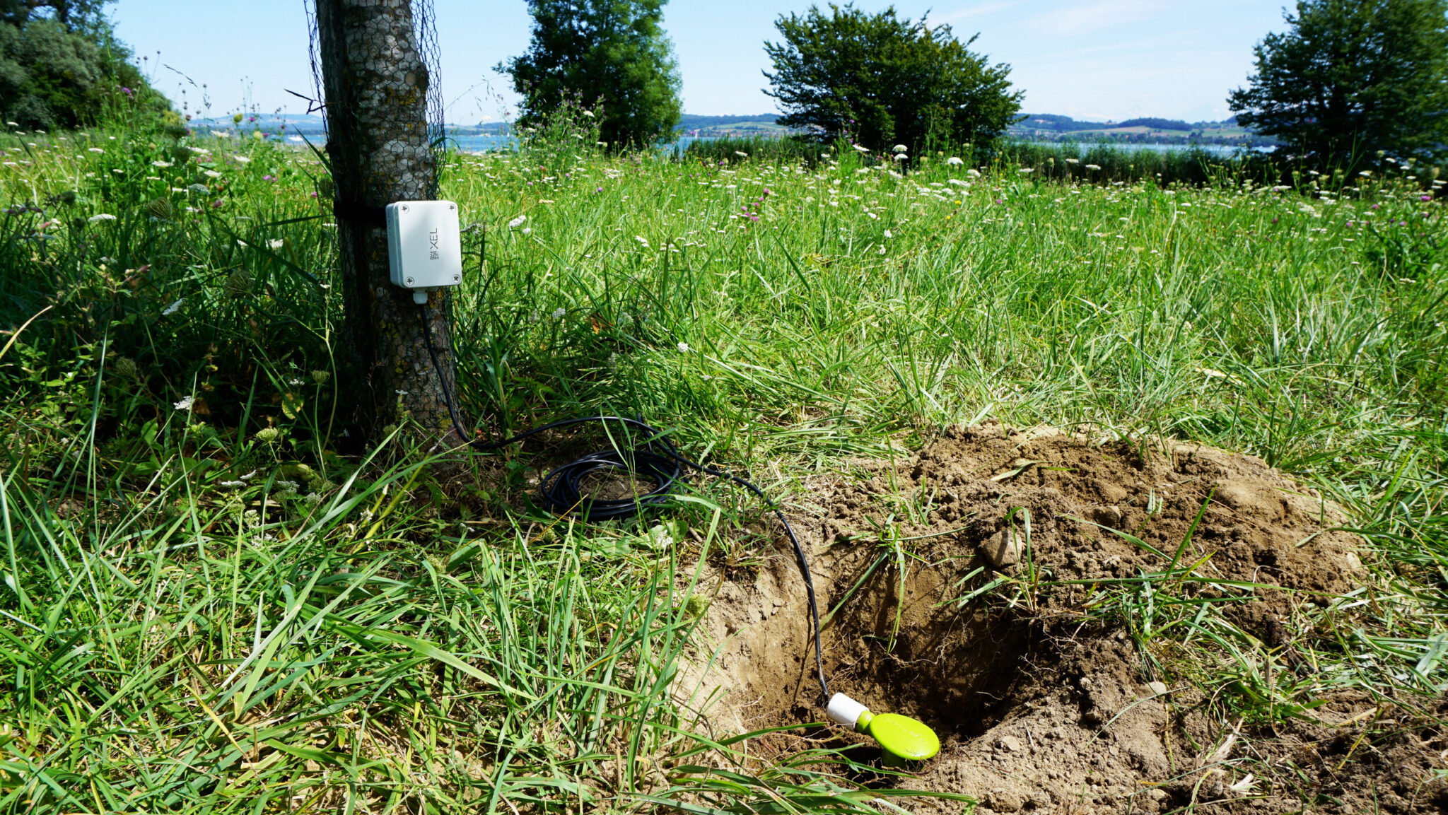 Soil Moisture and Temperature Profile Sensor for LoRaWAN® – XEL. LTD
