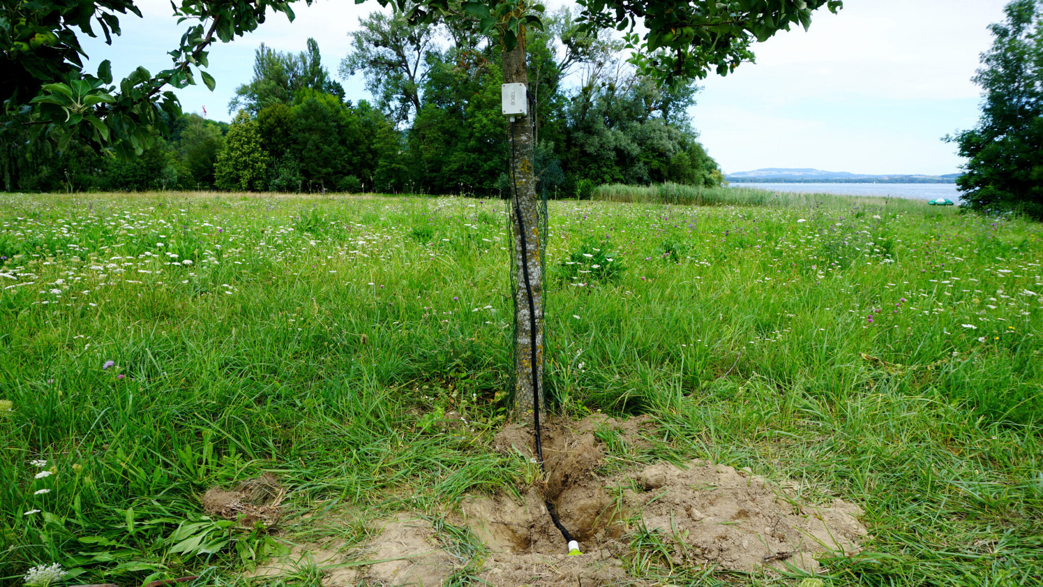 Soil Moisture and Temperature Profile Sensor for LoRaWAN® – XEL. LTD